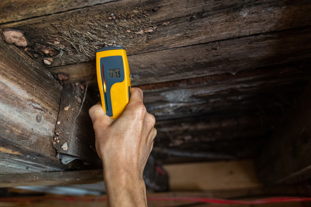 How Do Surveyors Check for Damp - Certain Surveyors