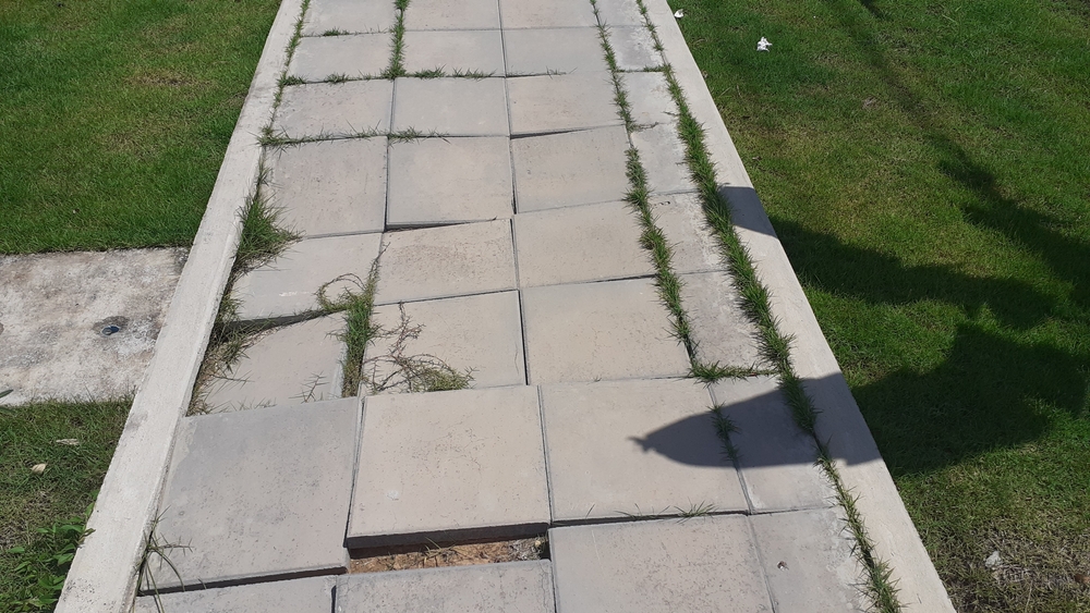 Signs of Subsidence in Garden - Certain Surveyors